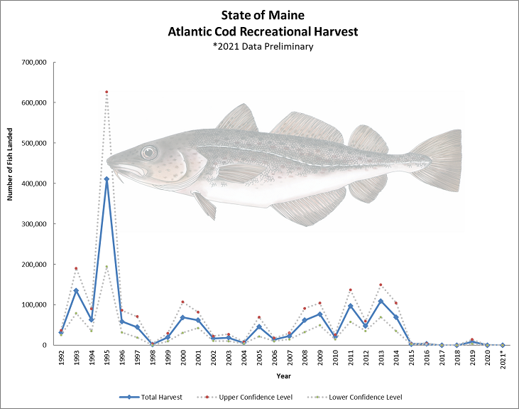 Recreational Landings of Atlantic Cod | Department of Marine Resources